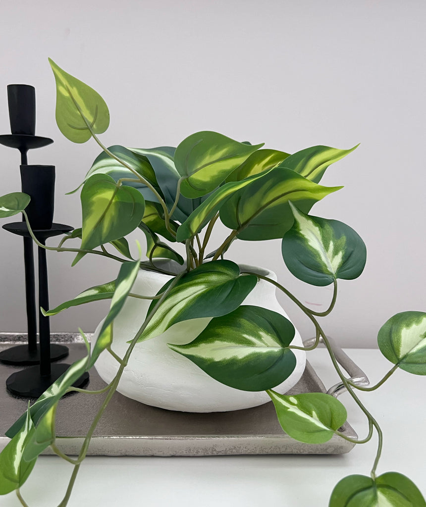 Organic Squat Pot – Inside Home Style