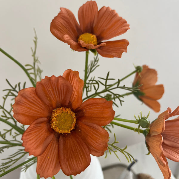 Cosmos Spray (Rust) – Inside Home Style
