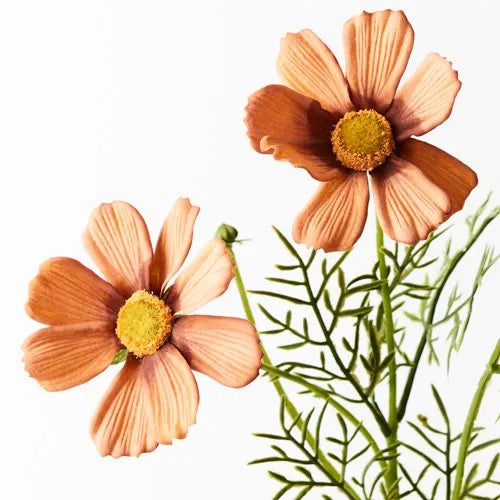 Cosmos Spray (Rust) – Inside Home Style