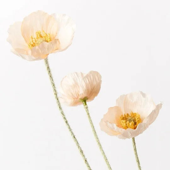 Poppy Spray (Buttercup) – Inside Home Style