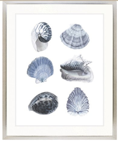 Blue Shells – Inside Home Style