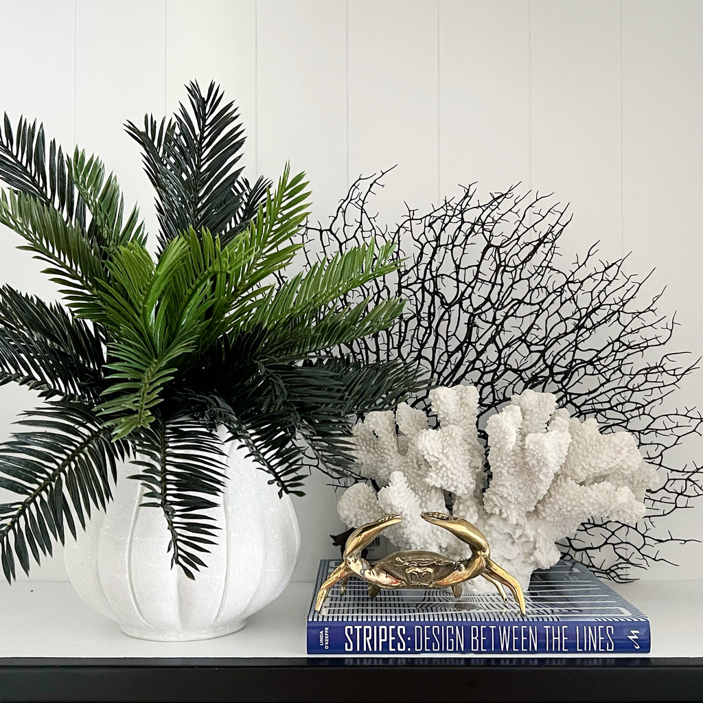 Cycas Bush (Stem) – Inside Home Style